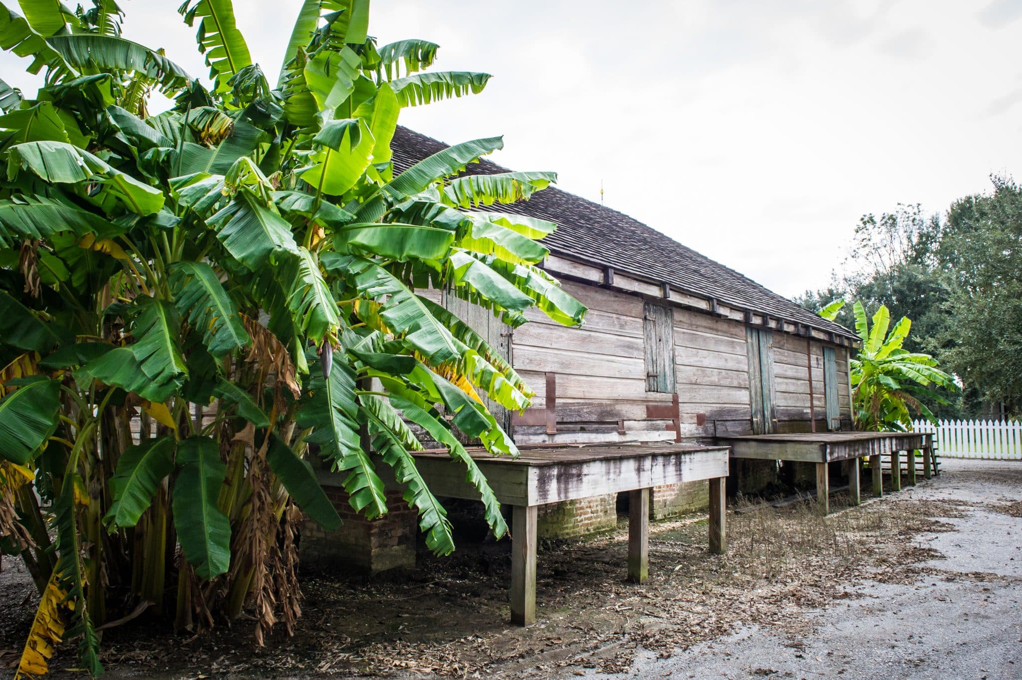 Media - Whitney Plantation